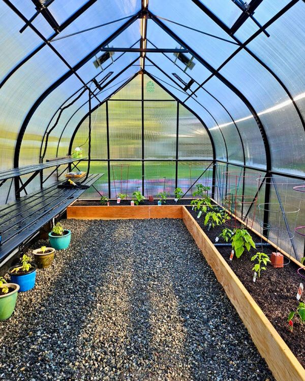How to make your greenhouse comfortable and work-friendly